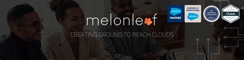 Melonleaf Consulting Linkedin