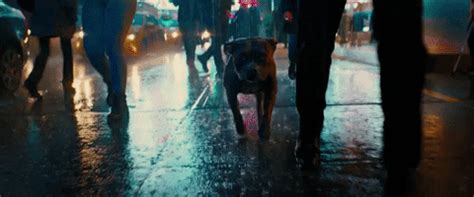 John Wick 3 Early Reactions Are Exactly What Fans Of The Franchise