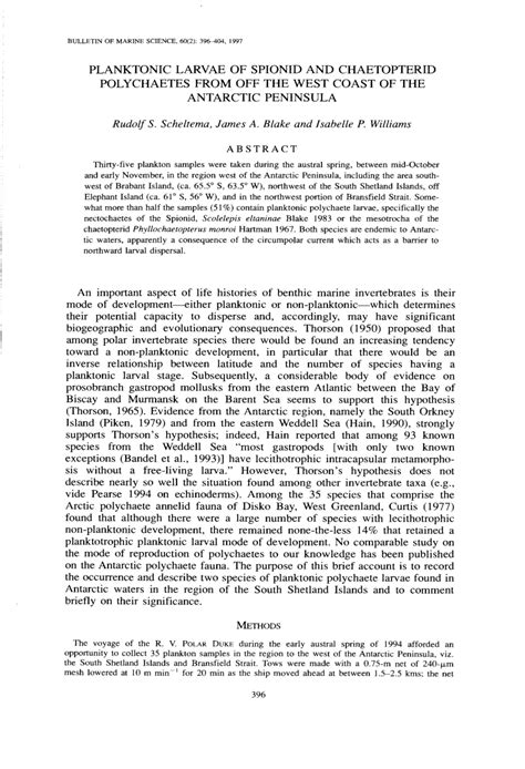 Pdf Planktonic Larvae Of Spionid And Chaetopterid Polychaetes From Off The West Coast Of The