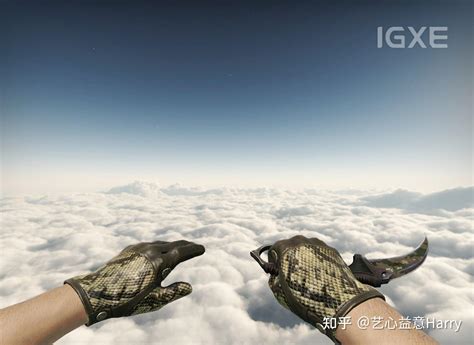 Cs2爪子刀预算3 5000送男生什么皮肤比较好呀？ 知乎