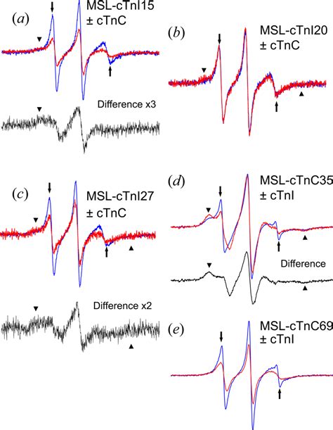 Overlay Of The Epr Spectra From The Msl Labeled Ctni With And Without Download Scientific