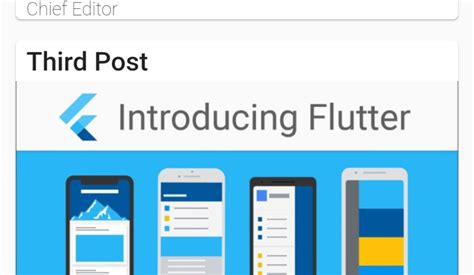Flutter Wordpress Api Mobile Application Development