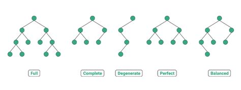 GitHub B Ruk Binary Trees
