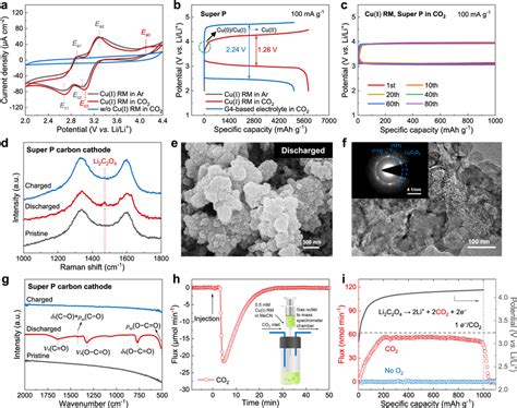 Electrochemical Performance Cathode Characterization And Co2 Download Scientific Diagram