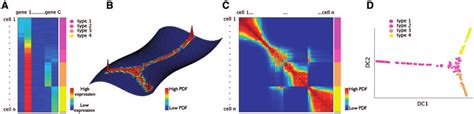 schematic overview of diffusion maps embedding a the n Â g matrix