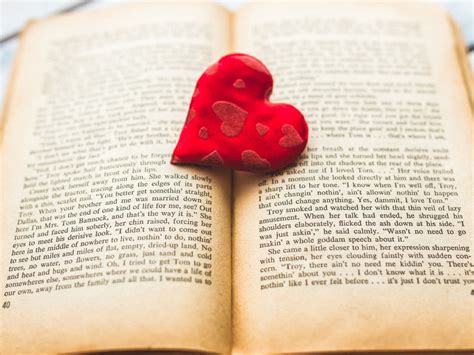 Frases De Amor De Libros