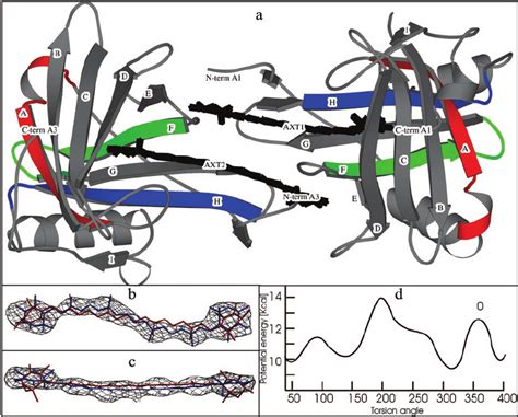 A The Structure Of The A 1 ͞ A 3 Dimer Assembly In Ribbon Format Download Scientific