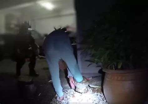 Python Coils Around Womans Leg