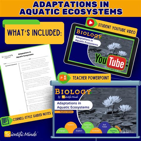 Adaptations In Aquatic Ecosystems 5e Biology Lesson Scientific Minds