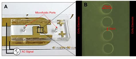 Table 1 From Passivated Electrode Insulator Based Dielectrophoretic
