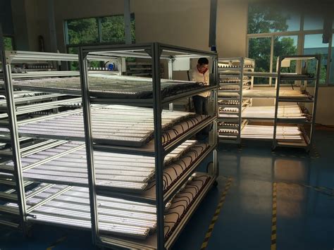 Led Tri Proof Light Custom Led Strip Manufacturer From China