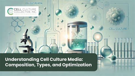 Understanding Cell Culture Media Composition Types And Optimization