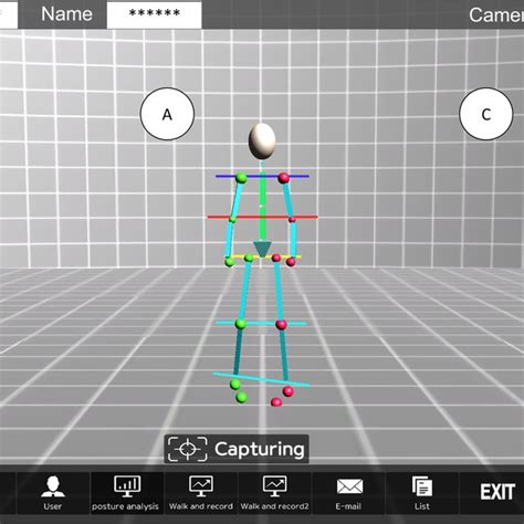 examination diagram of the postural analysis system an image of the