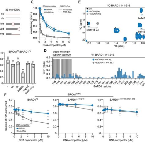 Inhibition Of Nucleosome Binding And H2a Ub By Specialized Dna