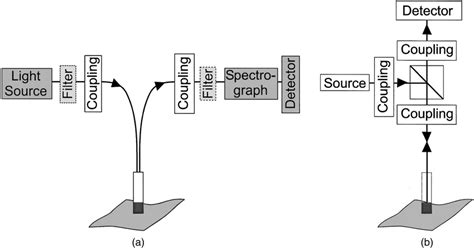A Fiber Optic Based Spectroscopy System With Separate Illumination