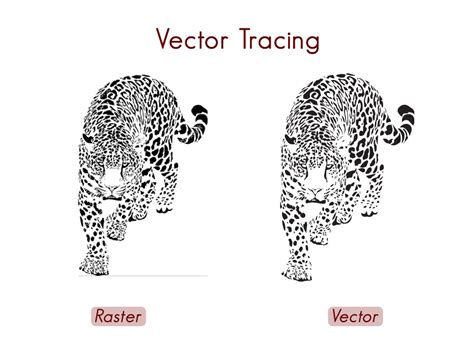 Vector Tracing Convert Raster To Vector High Res Vector File Outlines Upwork