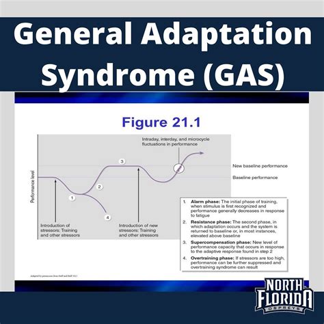 General Adaptation Syndrome Gas