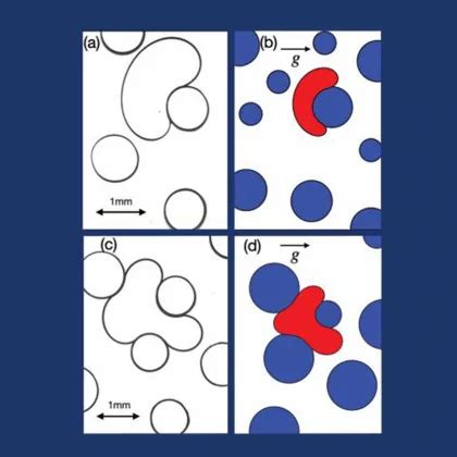 Yale Study Explores How Deformable Particles Flow And Break Corey OHern News Yale Engineering