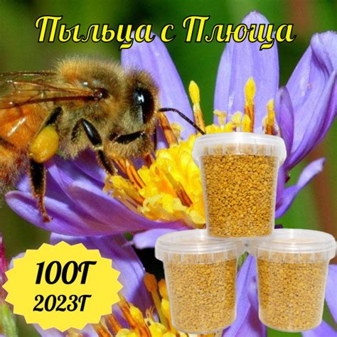 Пыльца пчелиная купить с доставкой по выгодным ценам в интернет магазине Ozon 1383283458