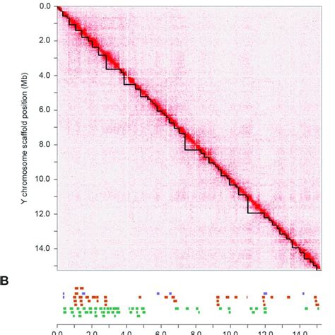 Hi C Chromosome Conformation Capture Sequencing Generated A Single Y Download Scientific