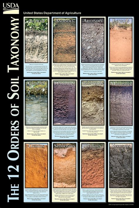 Twelve Orders Of Soil Taxonomy Poster Soil Classification Soil My Xxx