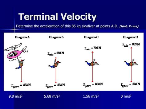 How To Use Terminal Velocity Calculator For Skydiving