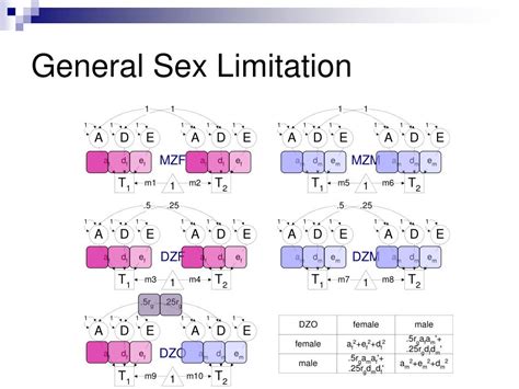 Ppt Heterogeneity Powerpoint Presentation Free Download Id 3652367