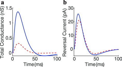 direct validation of im from realistic neuron simulations given the