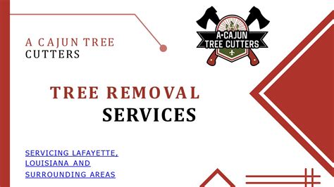 PPT Tree Pruning PowerPoint Presentation Free To Download Id Fc N QyN