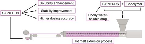 Preparation Of Solid Self Nanoemulsifying Drug Delivery Systems S