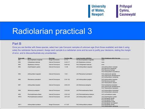 Biostratigraphy And Microfossils Pptx