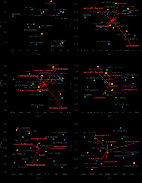 Simplified Nonmetric Multidimensional Scaling Nmds For Taxonomic