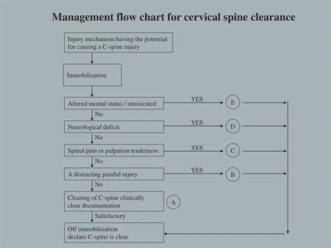Ppt Clearing The Cervical Spine Powerpoint Presentation Free Download Id 5430651