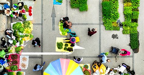 어떤채소 심어볼까