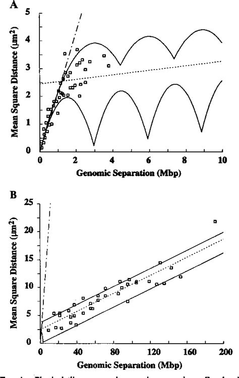 Pdf A Random Walkgiant Loop Model For Interphase Chromosomes Semantic Scholar