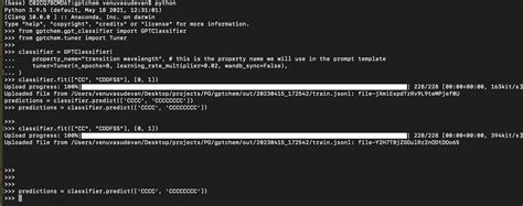 Empty Prediction · Issue 6 · Kjappelbaumgptchem · Github