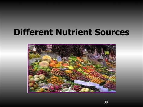 Animal Nutrition And Feeding Classification Of Nutrients Ppt