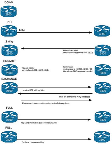 OSPF Neighbor Formation Download Scientific Diagram