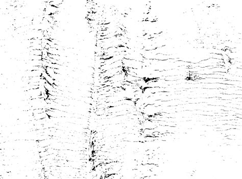 Tree Bark Pattern Vector Art Icons And Graphics For Free Download