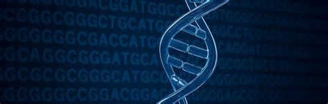 Next Generation Sequencing Minnesota Valley Testing Laboratories Inc