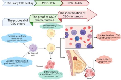 癌症干细胞：知识的进步及其对癌症治疗的影响 Signal Transduction And Targeted Therapy X Mol