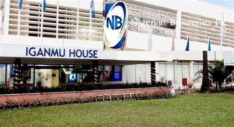 Nigerian Breweries Appoints Juliet Anammah As Board Chairman