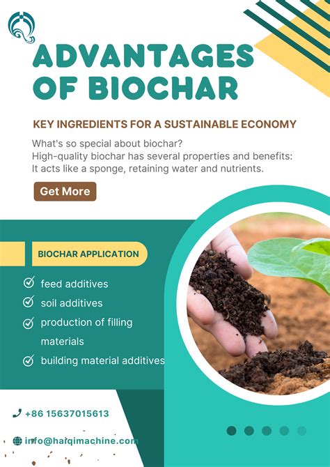The Quality And Field Of Application Of Biochar Depends On The Input Material Low Quality