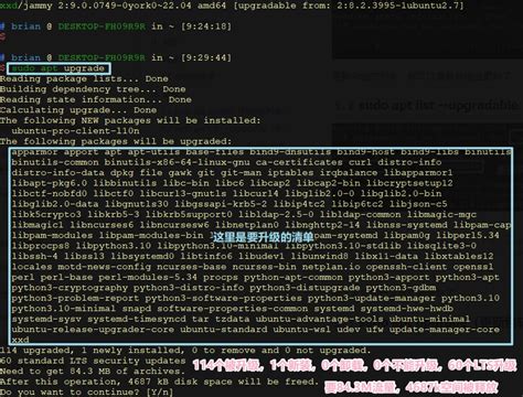 ubuntu初始化换清华源方法 apt使用 ibus拼音输入法 我们的科技如此多分