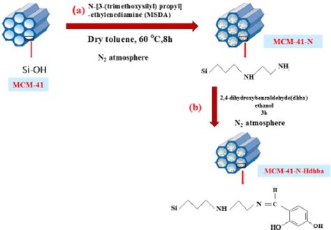Scheme 1 Synthesis Of Modified Mesoporous Silica Mcm 41 Nh 2 And Download Scientific