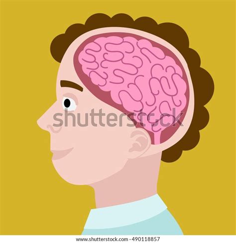 Human Head Section Cartoon Brain Head Stock Vector Royalty Free