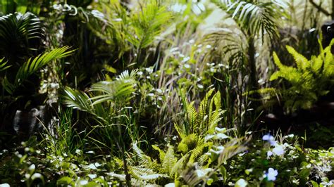 Close Up Jungle Grass And Plants 5681873 Stock Video At Vecteezy