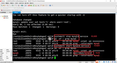 linux安装mysql csdn博客