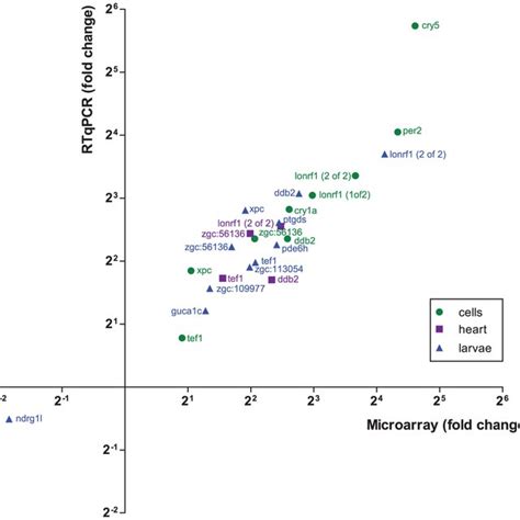 QPCR Validation Of The Microarray Results Graph Indicating The Download Scientific Diagram