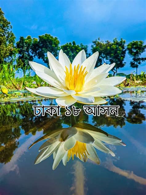 ☬শাপলাফুল ঢাকা ১৮☬